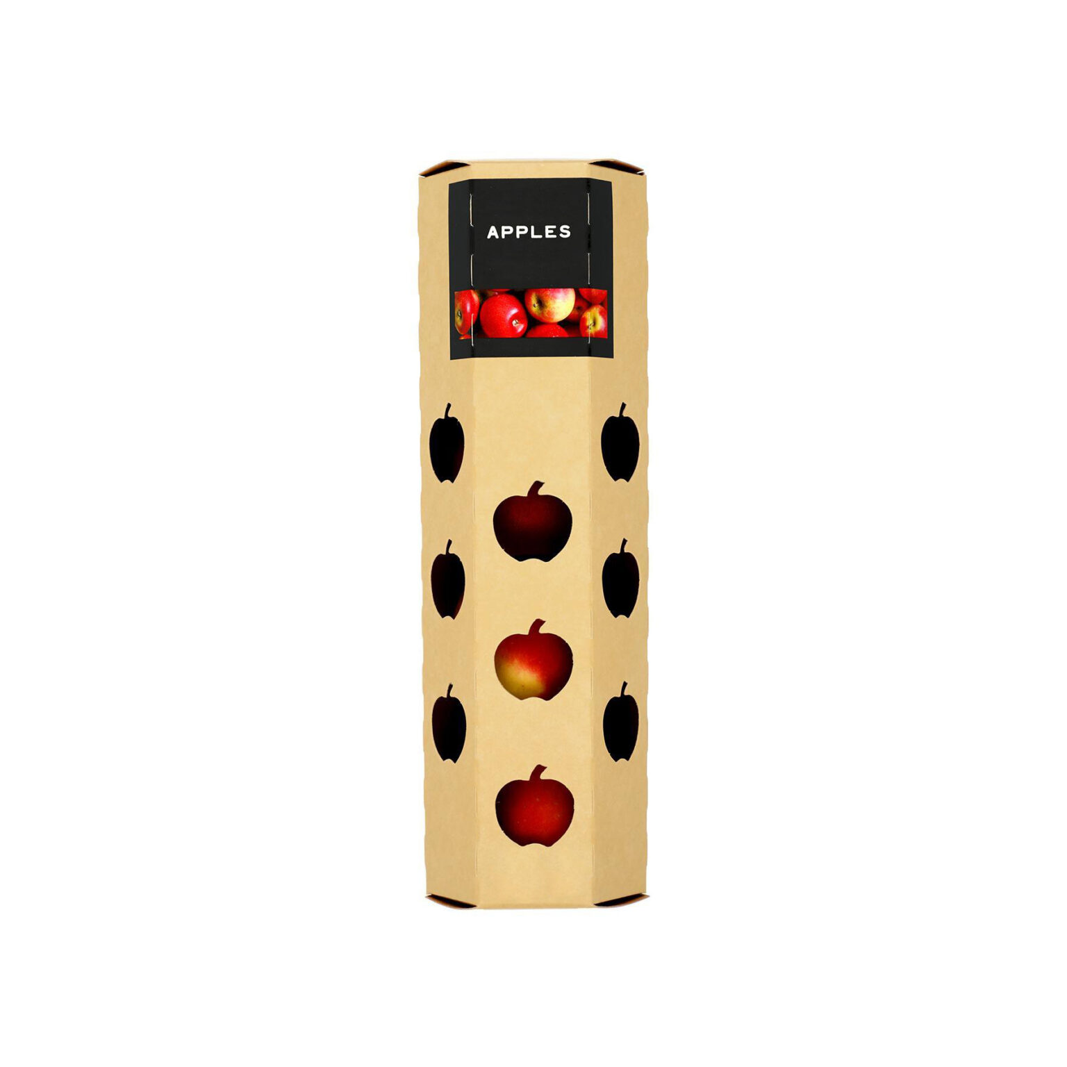 To Go Fruit Box - Oasismade